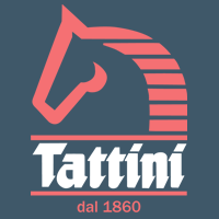 Loesdau Brand - Tattini Riding